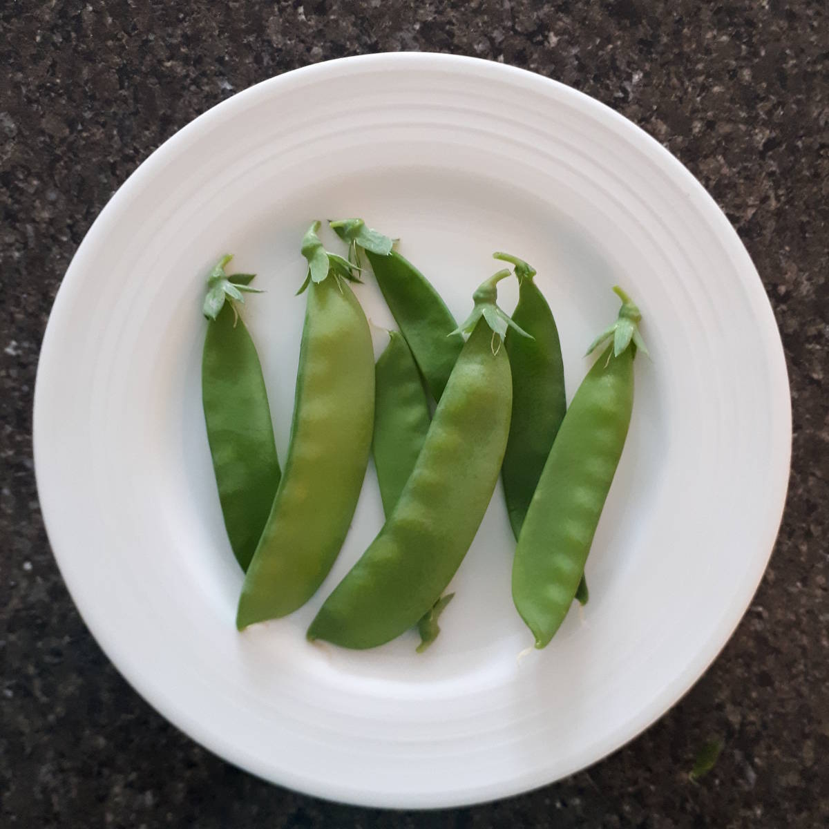 Snow Pea- Oregon Sugar Pod seeds | The Seed Collection