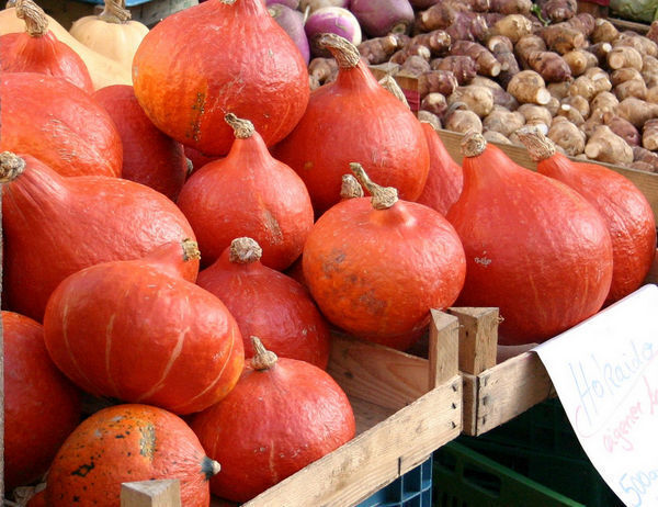 Pumpkin- Red Kuri seeds | The Seed Collection