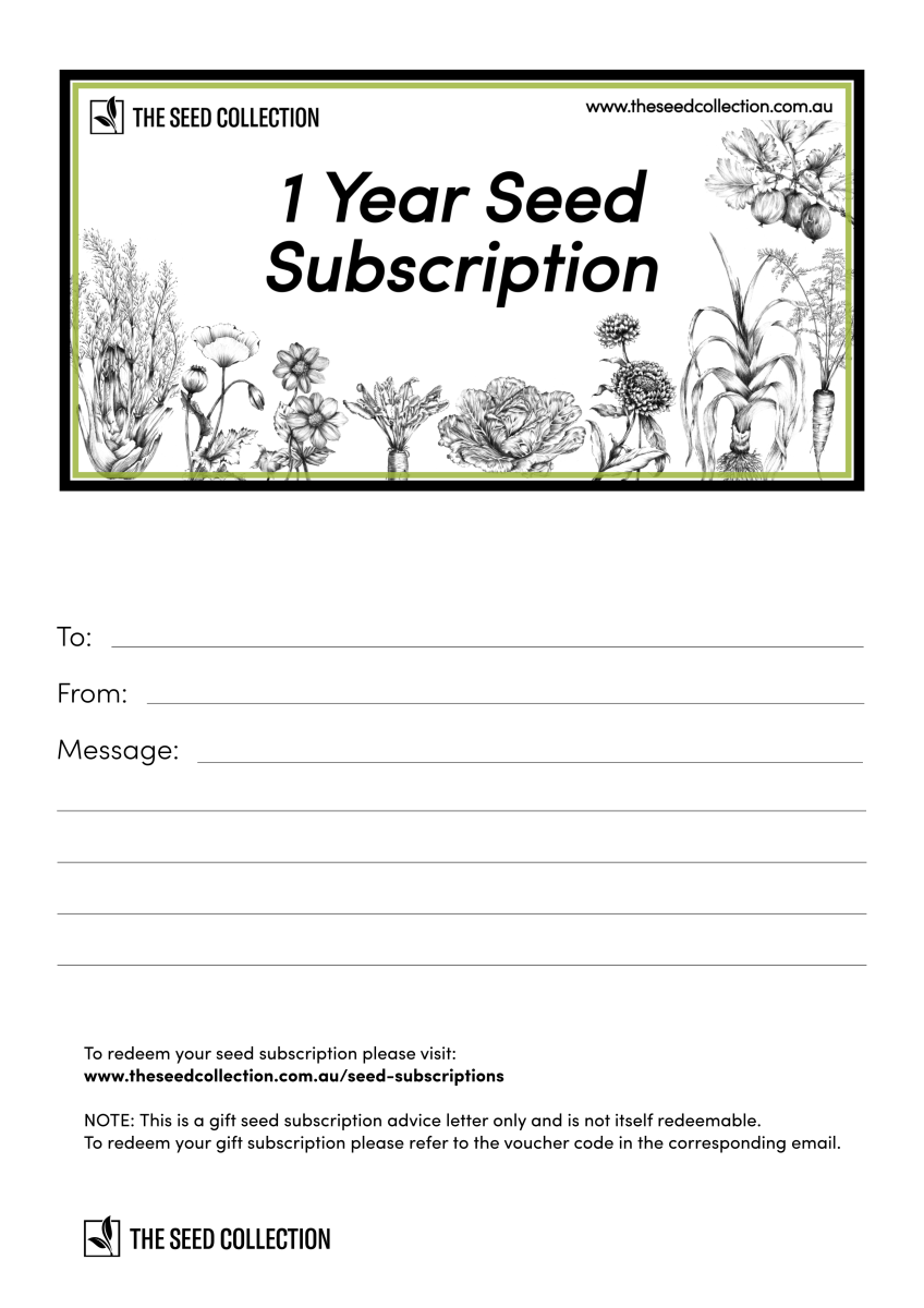 Seed Subscription- 1 Year | The Seed Collection