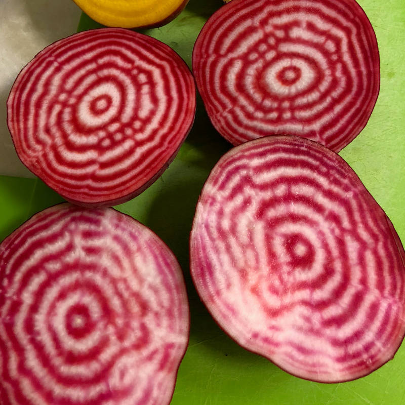 Beetroot- Chioggia seeds | The Seed Collection