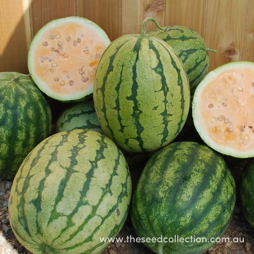Watermelon- Clay County seeds | The Seed Collection