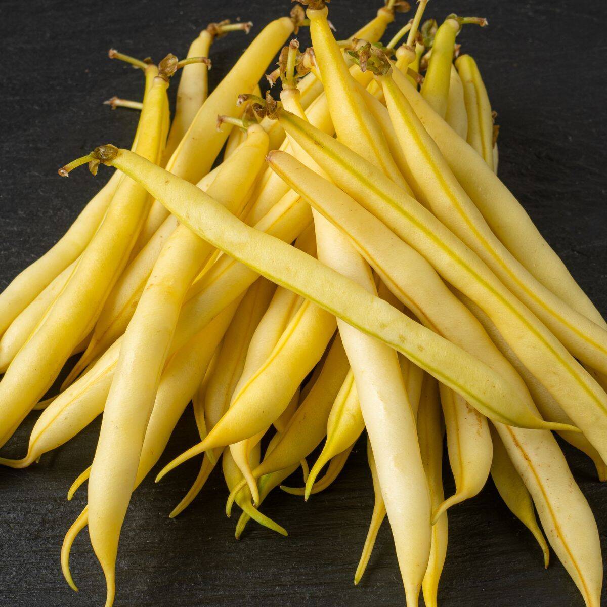 Dwarf Bean- Top Notch Golden Wax | The Seed Collection