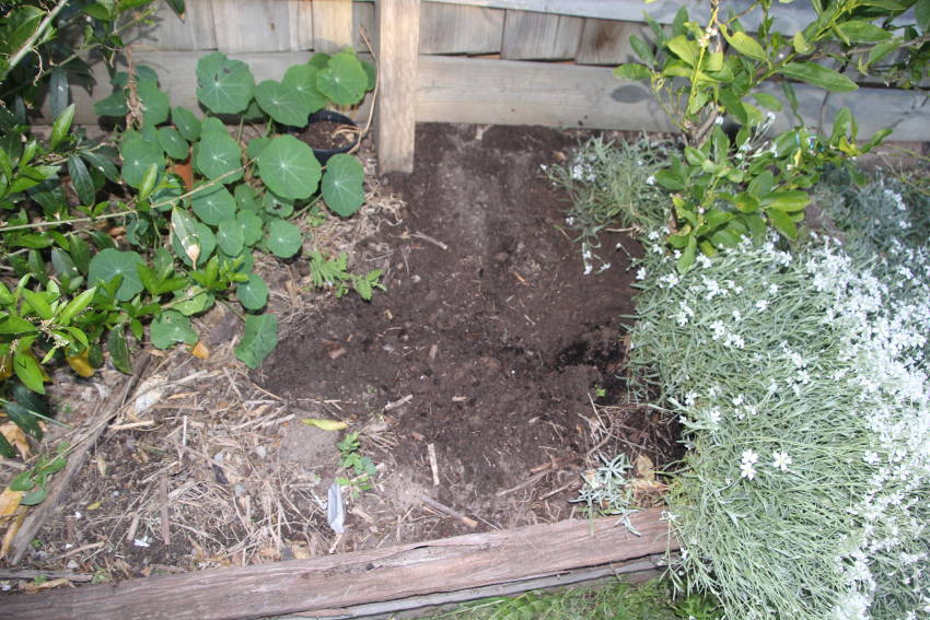 Dig and Drop Compost Holes | The Seed Collection