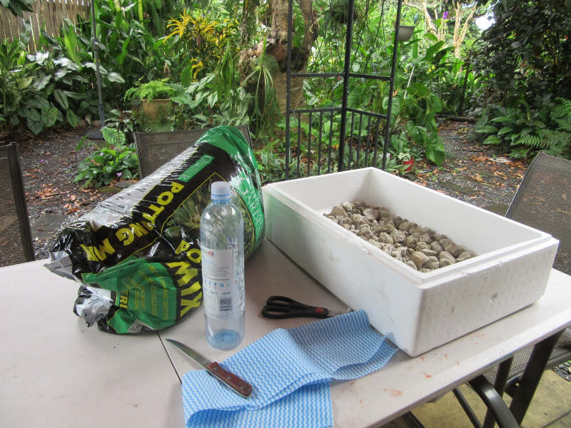 Homemade Wicking Boxes | TheSeedCollection